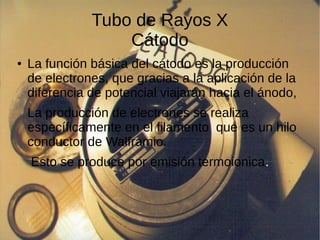 Tubo de rayos x Naomi y Miriam | ODP