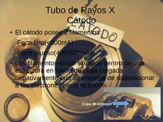 Tubo de rayos x Naomi y Miriam | ODP