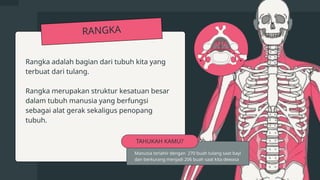 Tubuhku Hebat Mengenal Rangka Manusia.pptx