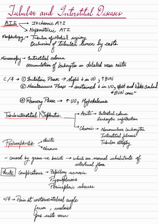 Tubular and Interstitial Disease_240604_070240.pdf