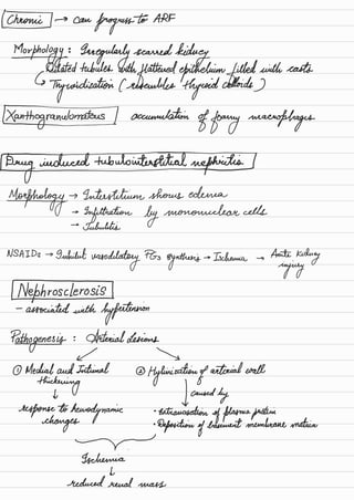 Tubular and Interstitial Disease_240604_070240.pdf