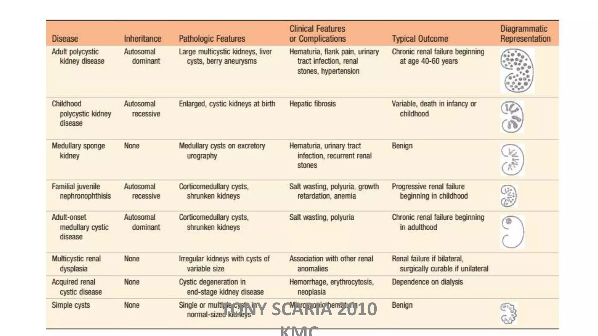 Tubular disorders of kidney REVISION NOTES | PDF