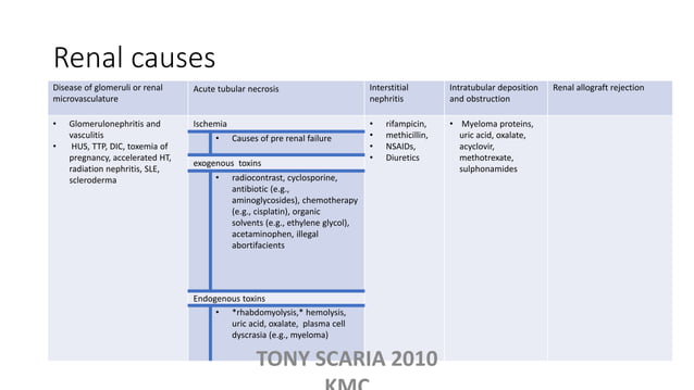 Tubular disorders of kidney REVISION NOTES | PDF | Blood Disorders ...