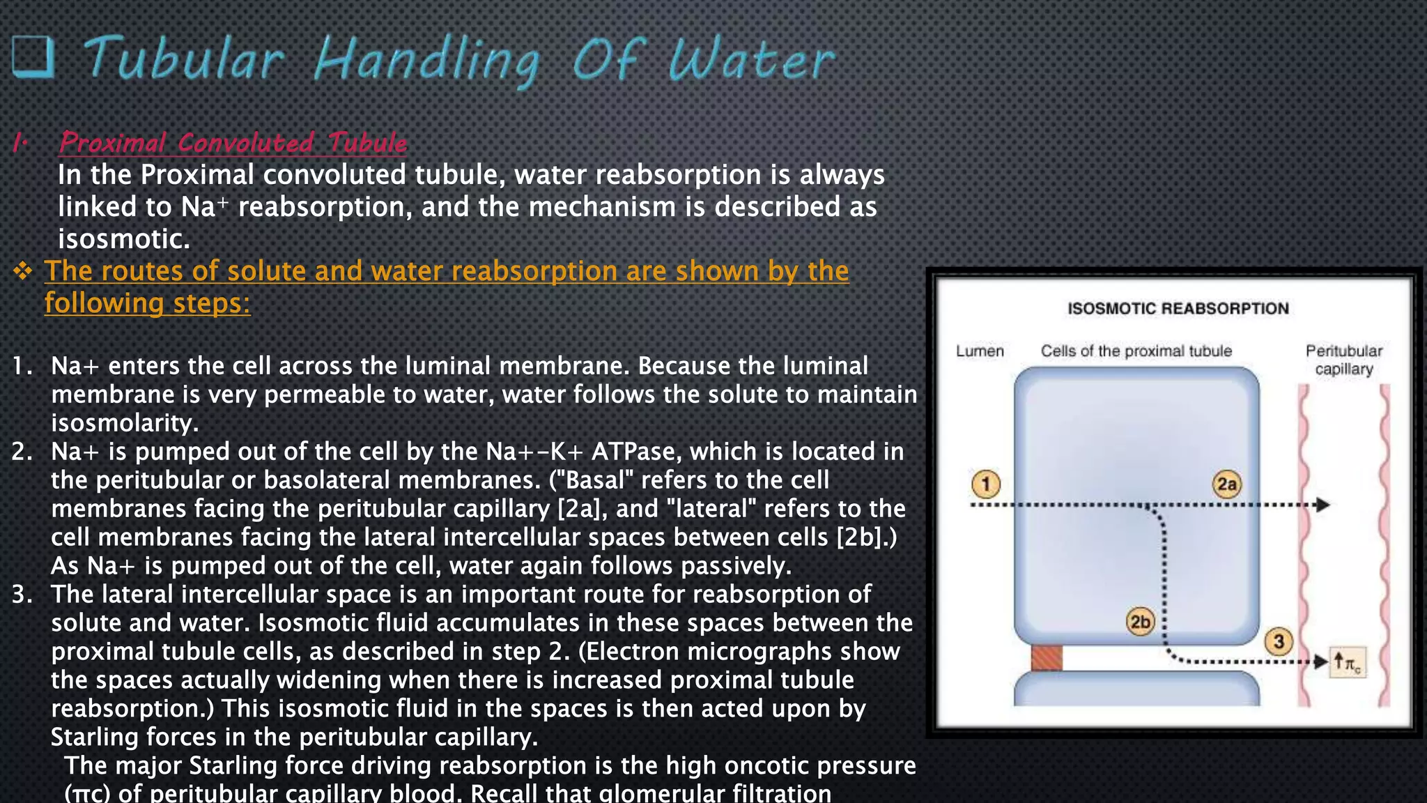 Tubular handling of water | PPT