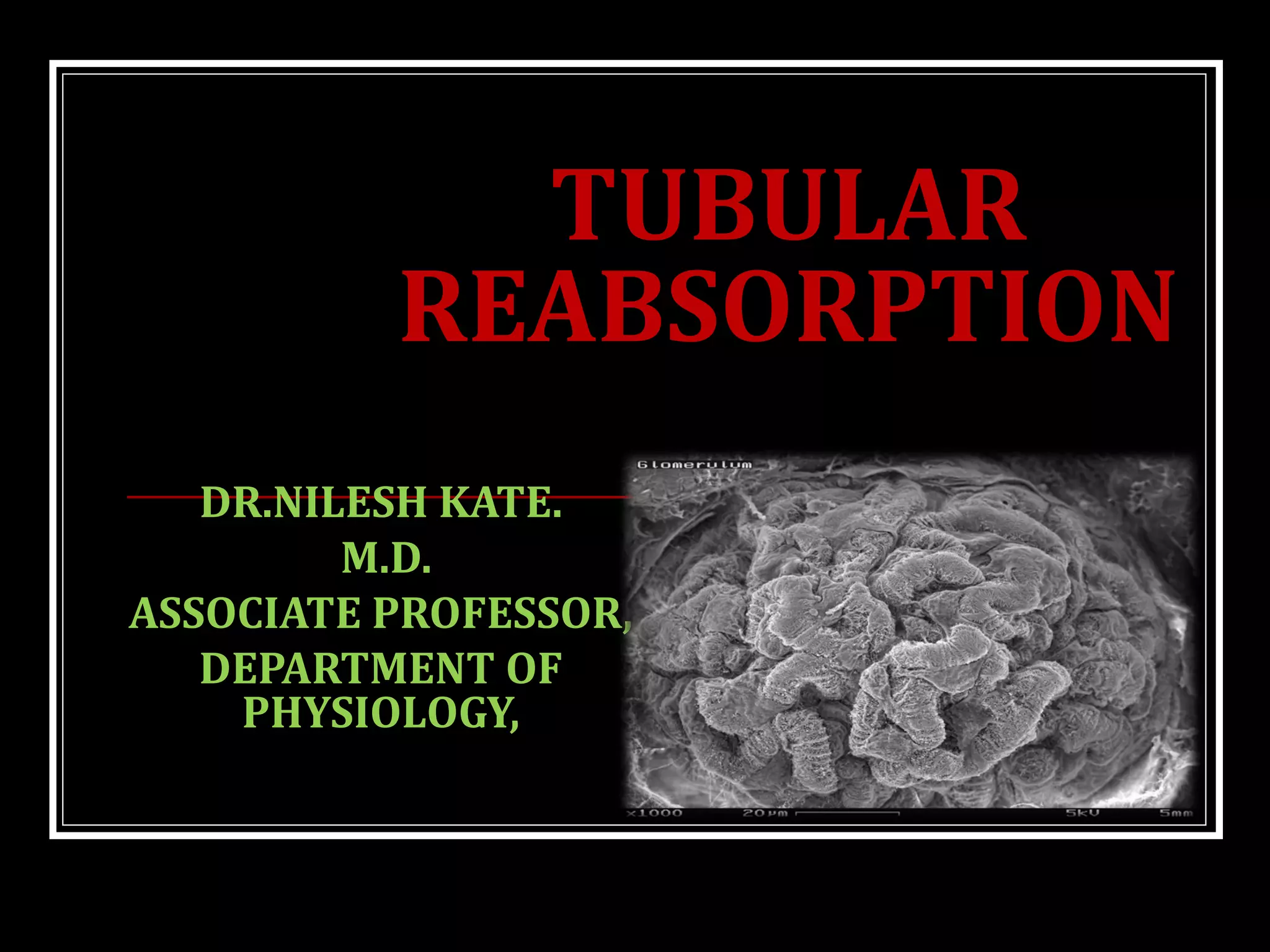 TUBULAR REABSORPTION | PPT