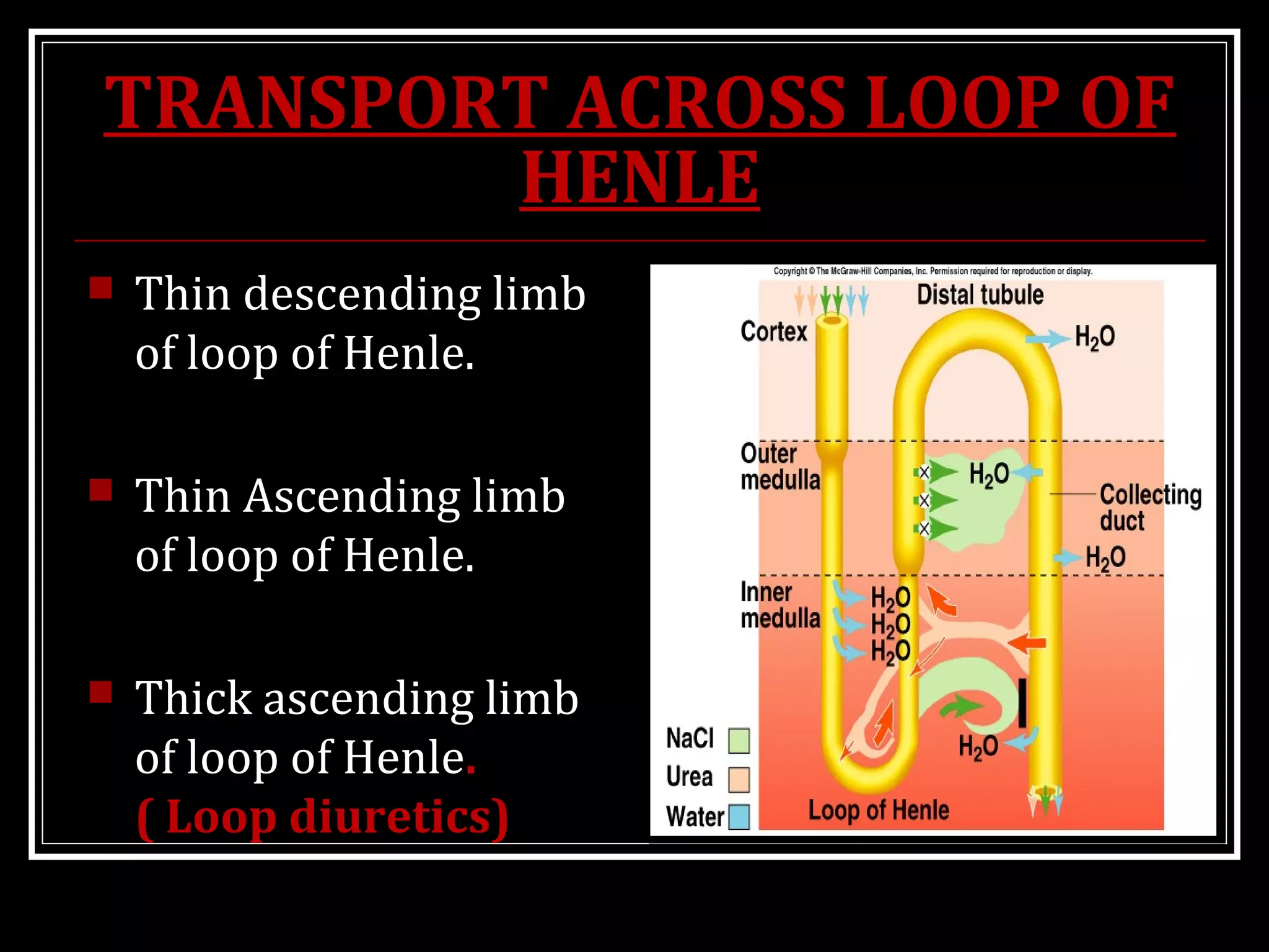TUBULAR REABSORPTION | PPT
