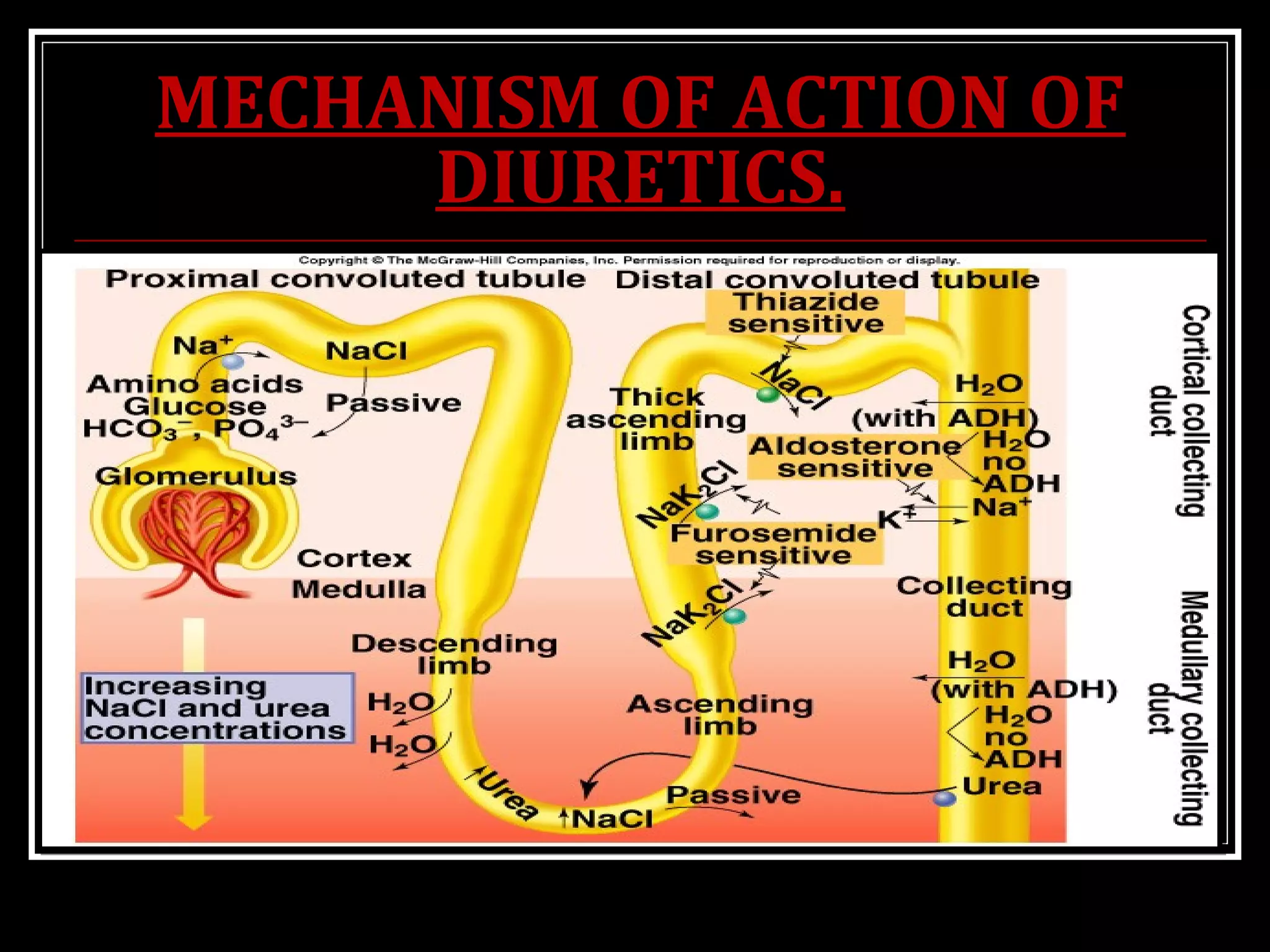 TUBULAR REABSORPTION | PPT