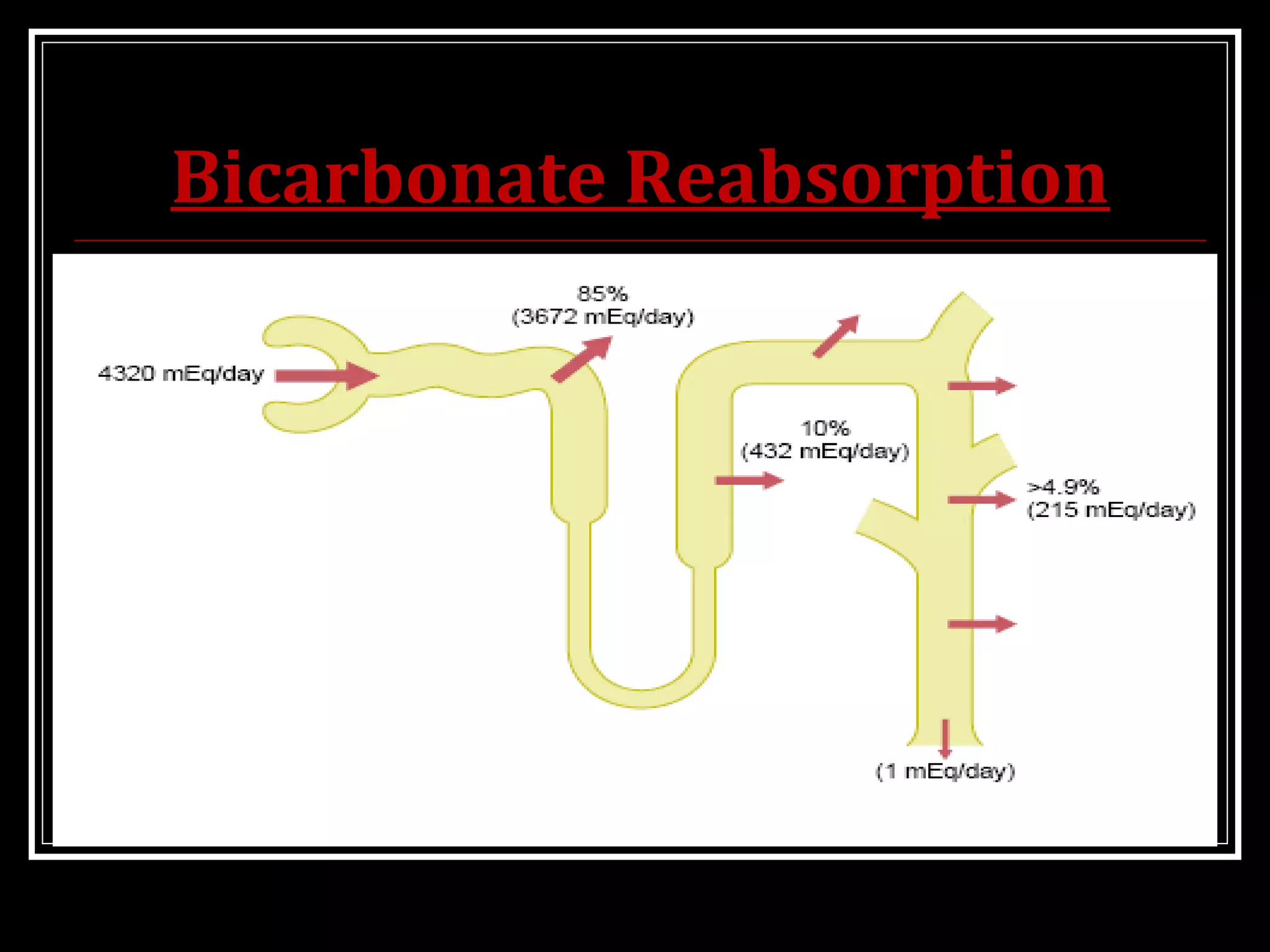 TUBULAR REABSORPTION | PPT