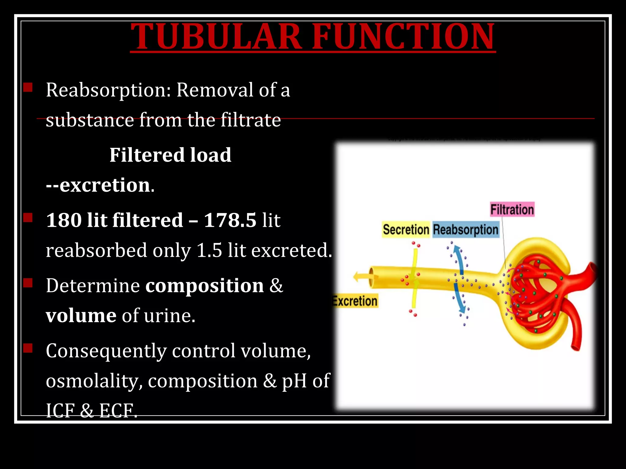 TUBULAR REABSORPTION | PPT