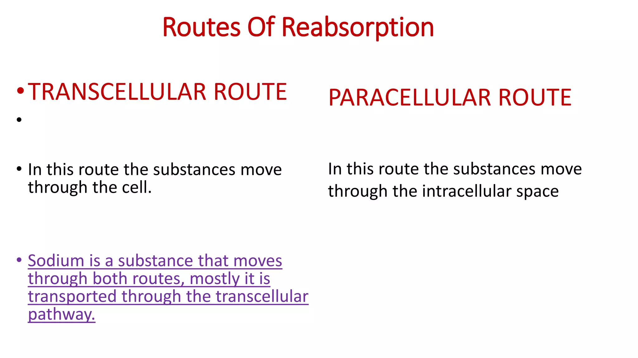 Tubular reabsorption (The Guyton and Hall physiology) | PPTX