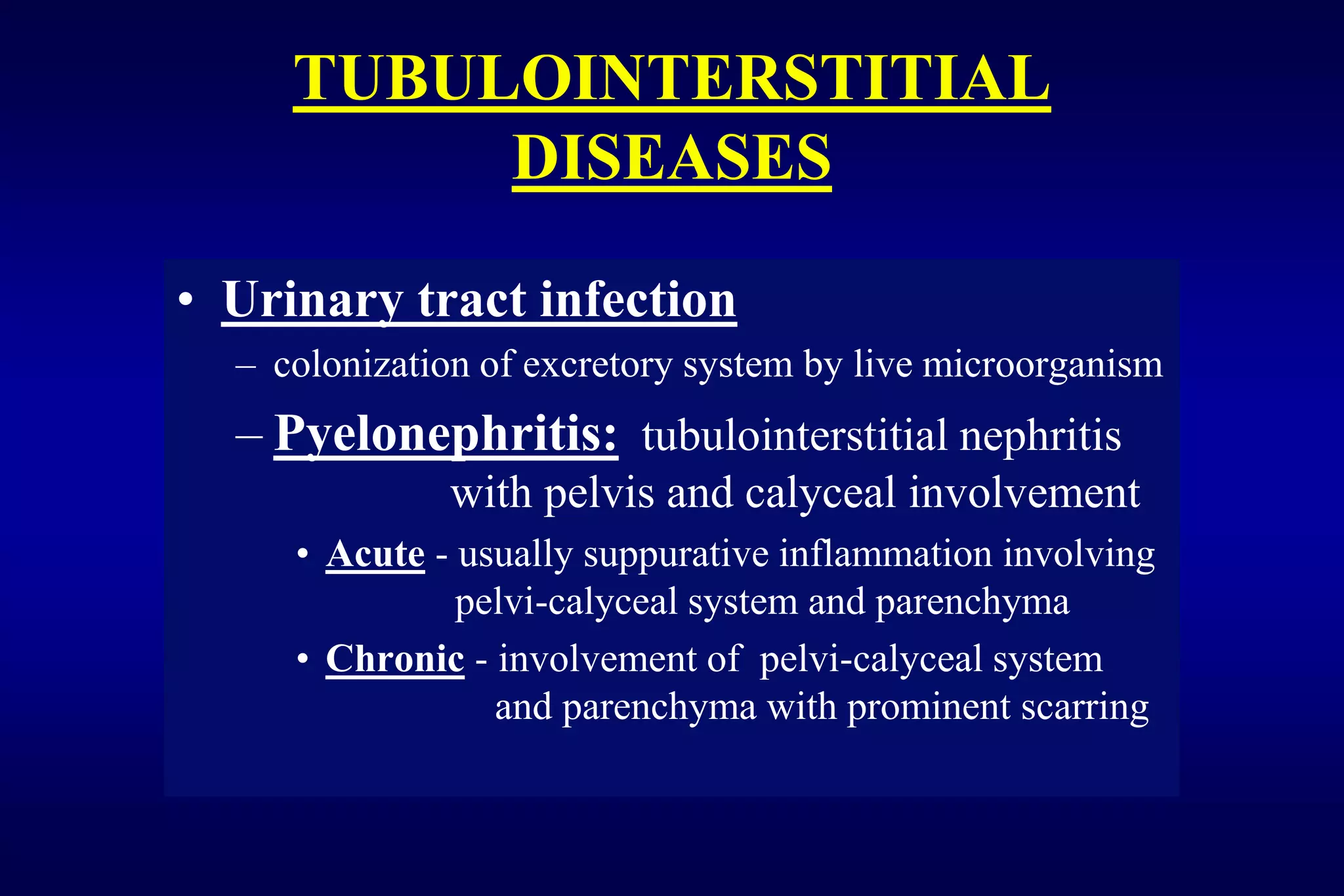 tubulo-interstitial-nephropathy (1).ppt