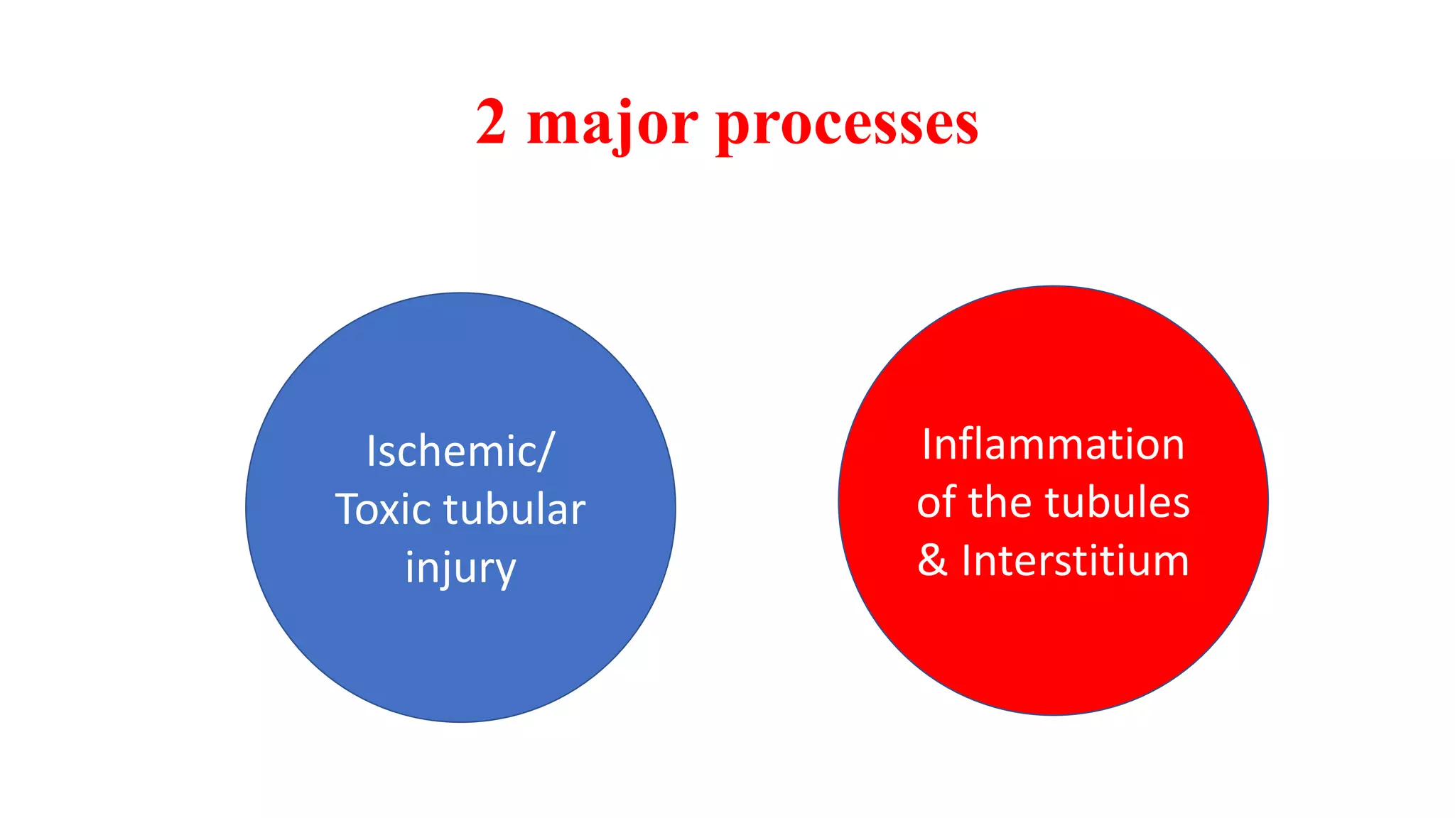 Tubulointerstitial diseases | PPTX