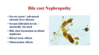 Tubulointerstitial diseases | PPTX