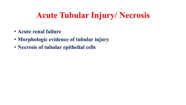 Tubulointerstitial diseases | PPTX | Blood Disorders | Diseases and ...