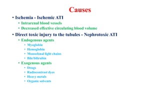 Tubulointerstitial diseases | PPTX