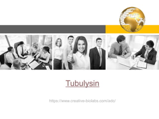 Tubulysin | PPT