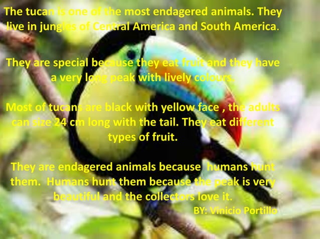 Endangered animals power point | PPT