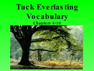 Tuck Everlasting Vo Cch6 10 | PPT