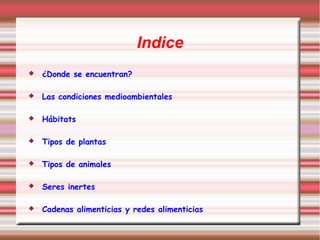 Tudra y taiga ecosistema | ODP