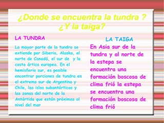 Tudra y taiga ecosistema | ODP
