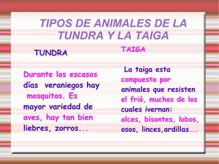 Tudra y taiga ecosistema | ODP