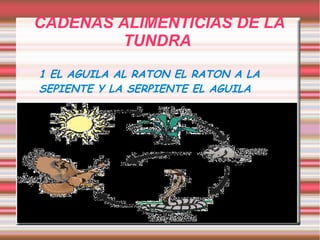 Tudra y taiga ecosistema | ODP