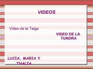 Tudra y taiga ecosistema | ODP