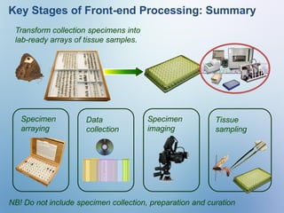 Dr Sarah Adamowicz - Field collections | PDF