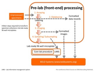 Michelle Van der Bank - Front-end processing | PPTX