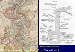 Healthy Coastal Ecosystems | PPT