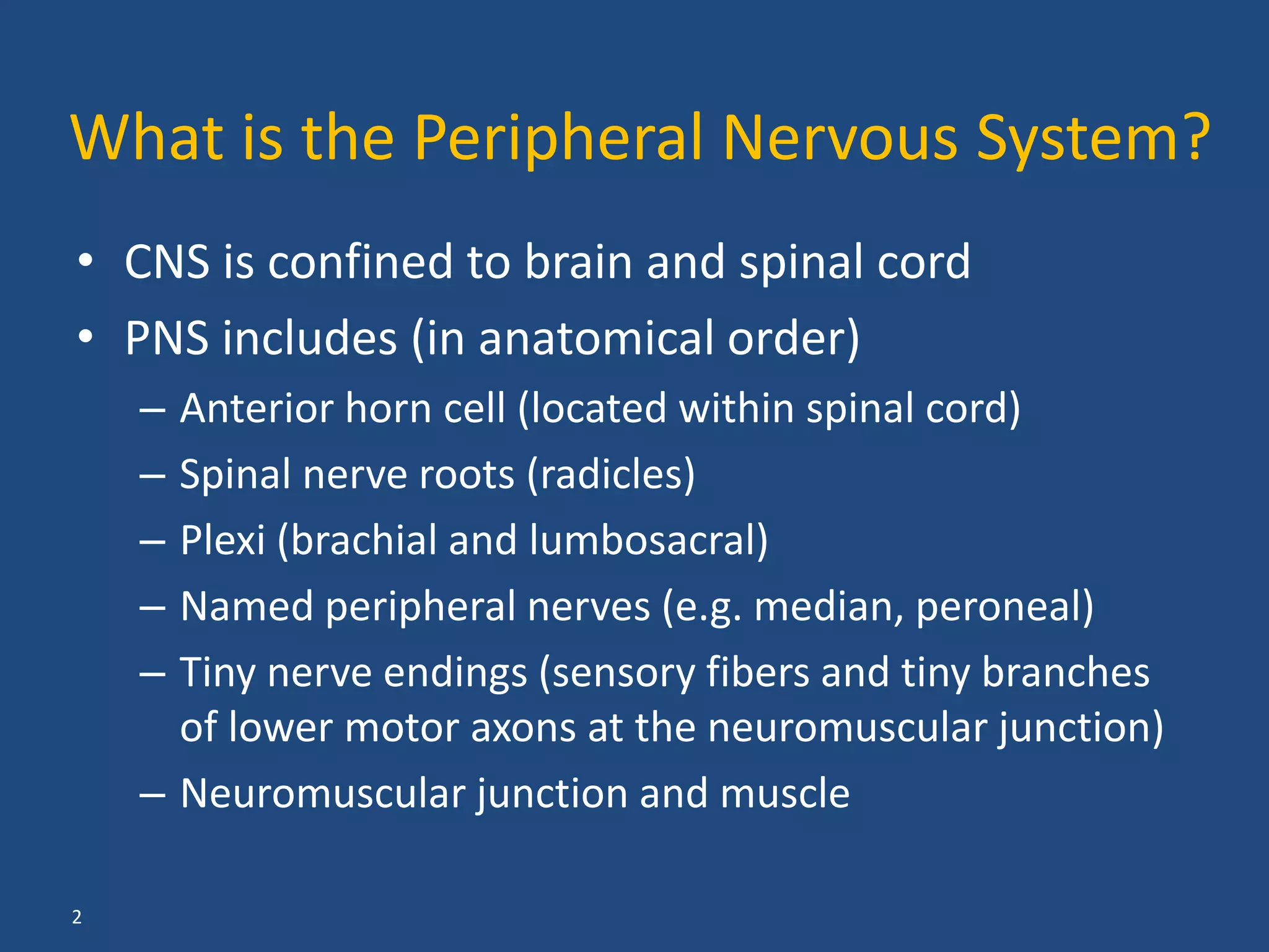 Tues 10 20 peripheral nerve disorders- a practical overview | PPTX ...