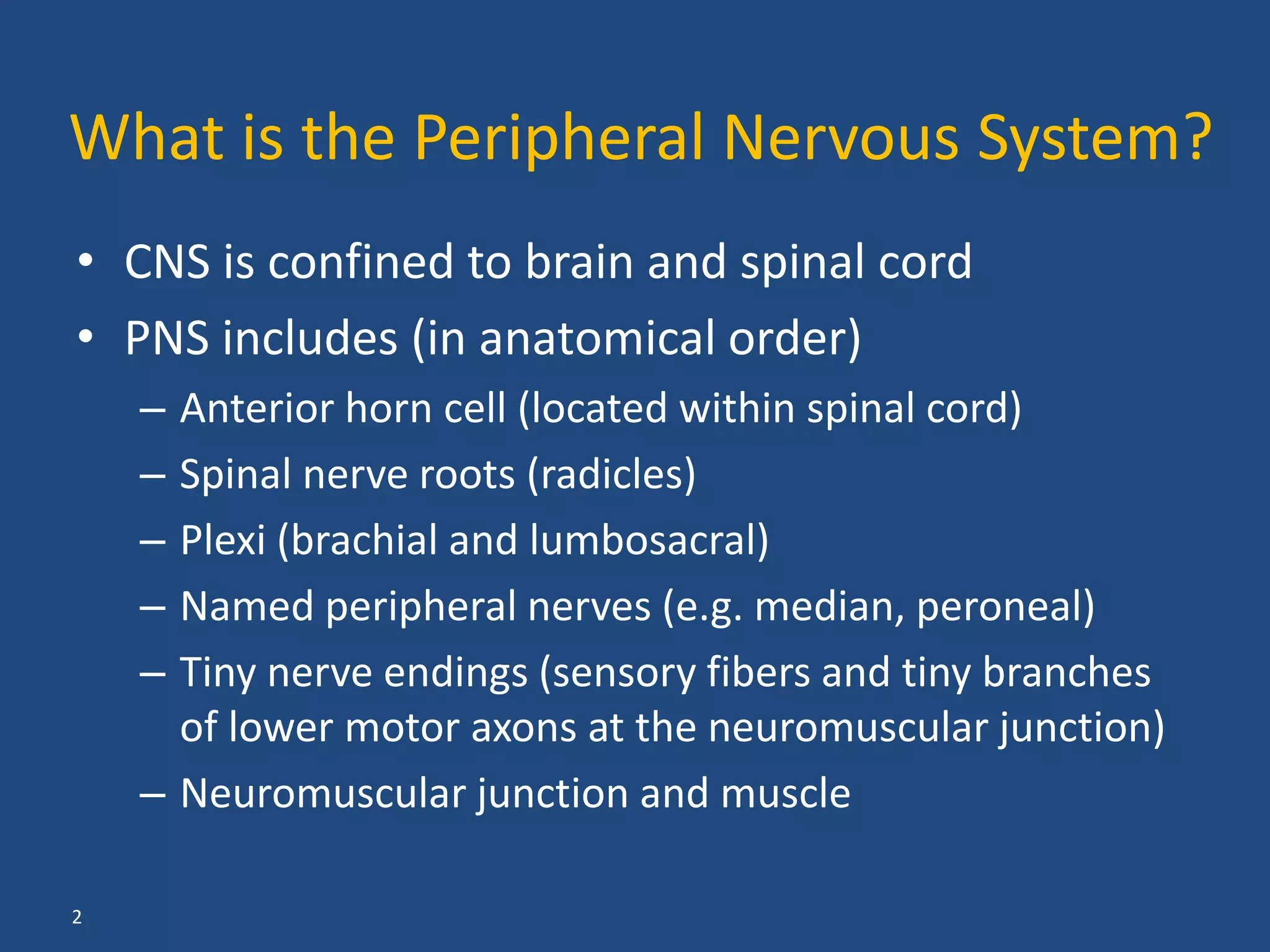 Tues 10-20 Peripheral Nerve Disorders- A Practical Overview.pptx