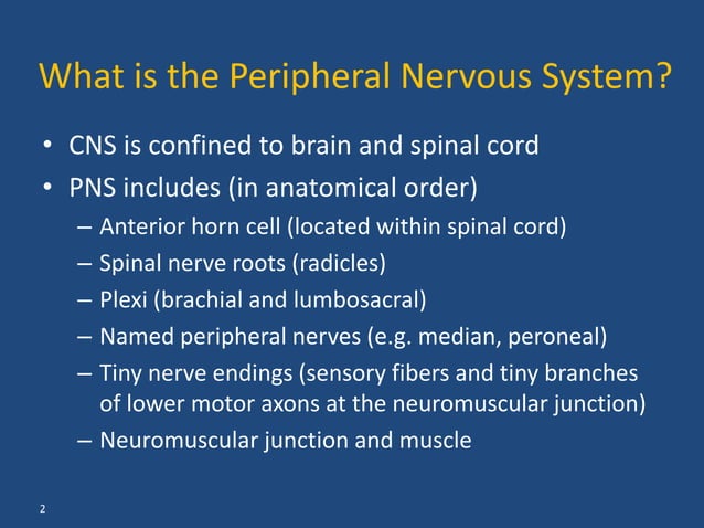 Tues 10-20 Peripheral Nerve Disorders- A Practical Overview.pptx