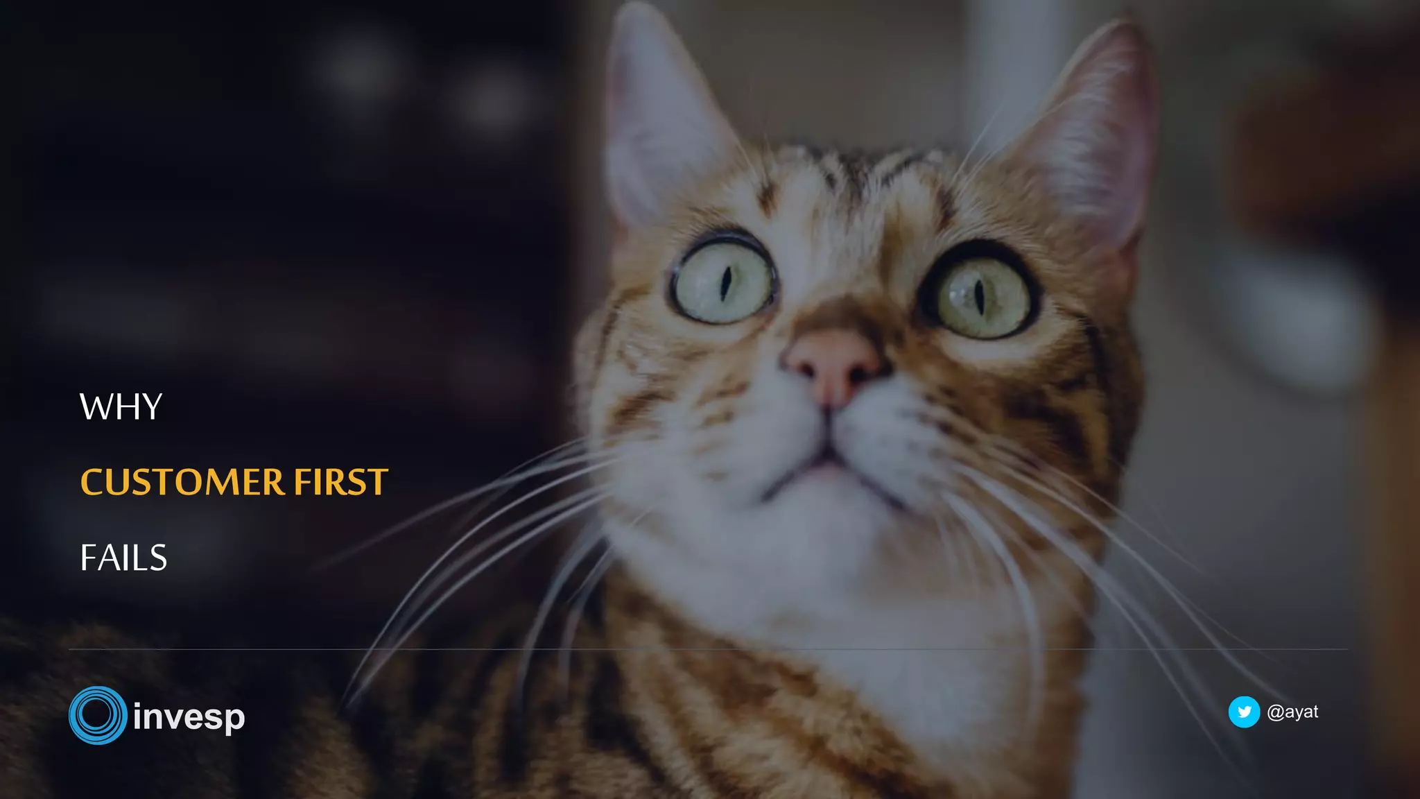 Ayat Shukairy (Co-Founder, Invesp) - Why "Customer First" Fails, And ...