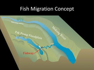 Development of Fishway Design Criteria for Floodplain Species of the ...