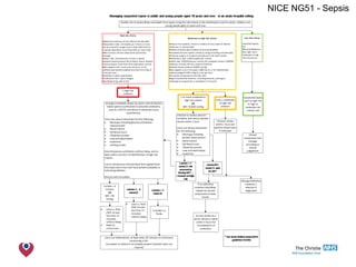 Sepsis National Approach | PDF