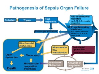 Sepsis National Approach | PDF