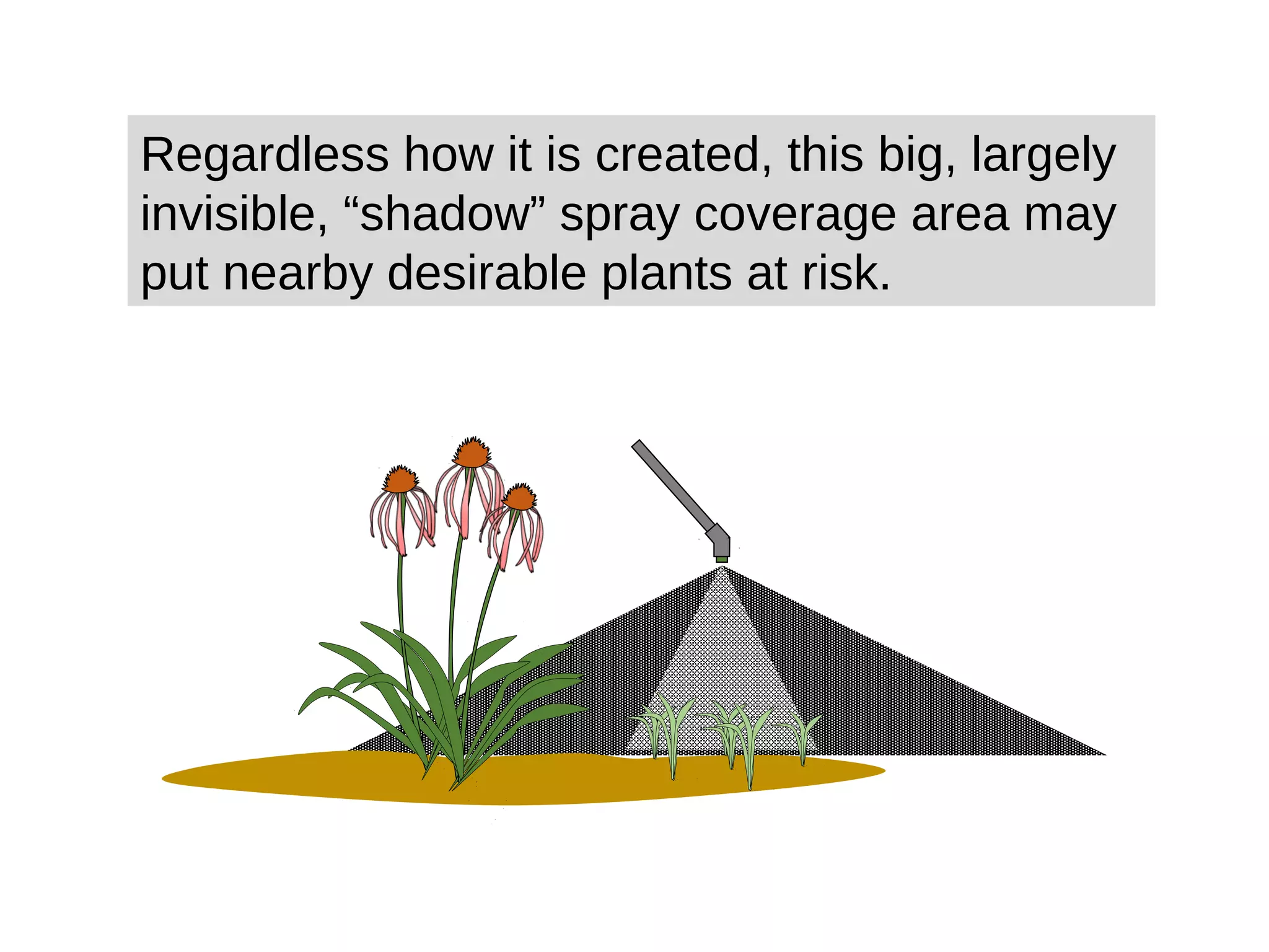 Precision Herbicide Spray and Foam | PPT