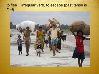 Intro to Immigration | PPTX