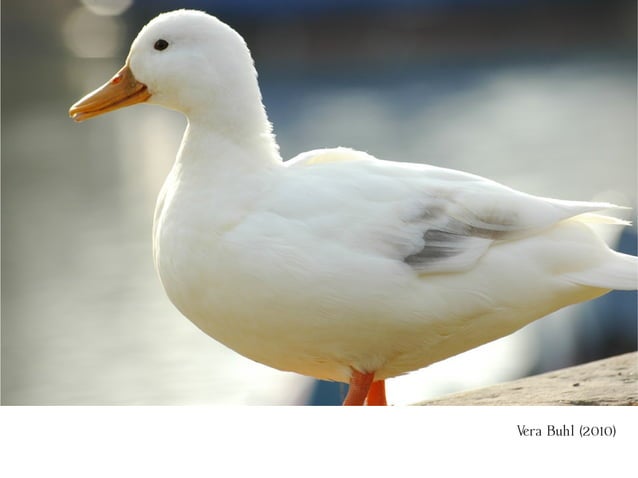 Tufte visual display-1 | PPT