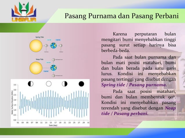 Gelombang pasut | PPTX