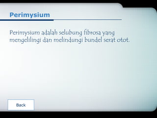tugas anatomi otot pada manusia kelas 8.ppt