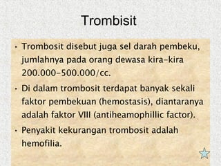 Sistem Peredaran Darah | PPT