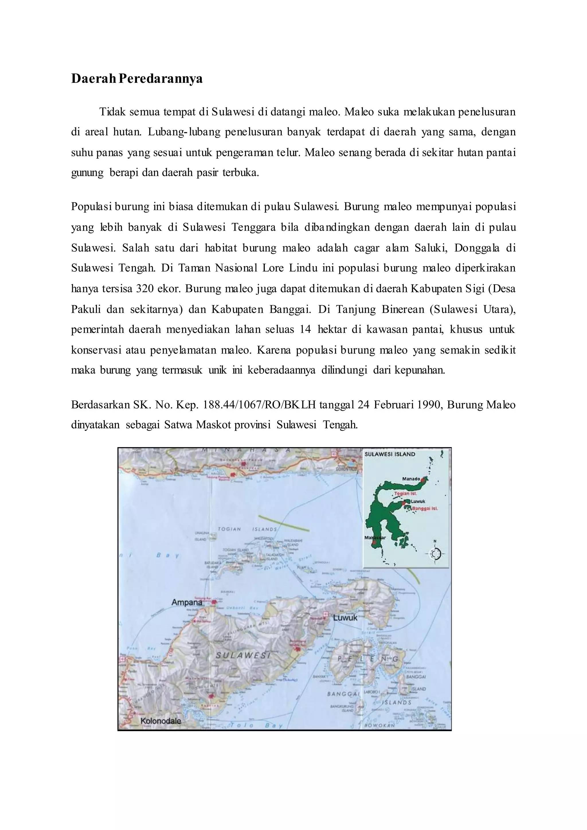 Deskripsi Burung Maleo (Macrocephalon maleo) | DOCX