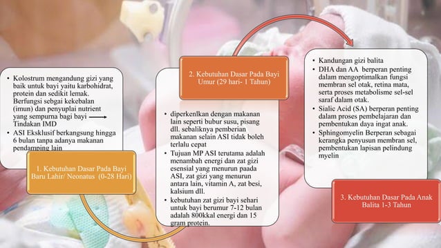 asuhan neonatus ppt kebutuhan fisik, kesehatan, psikososial neonatus | PDF