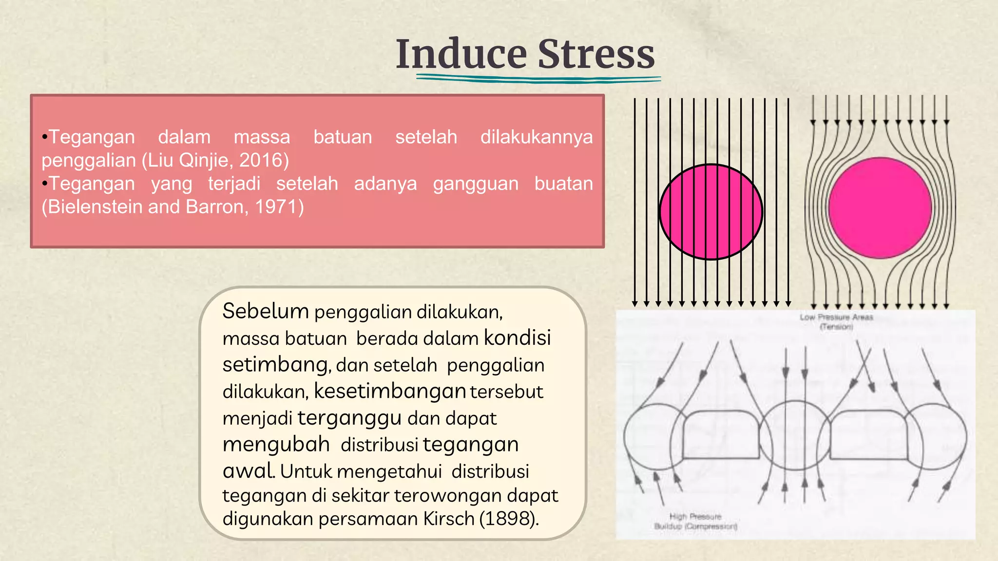 insitu dan induce stress.pptx