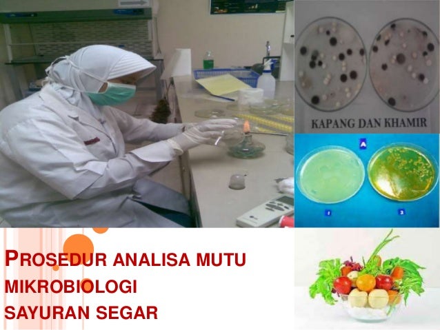 KONTAMINASI MIKROBA vPADA SAYURAN