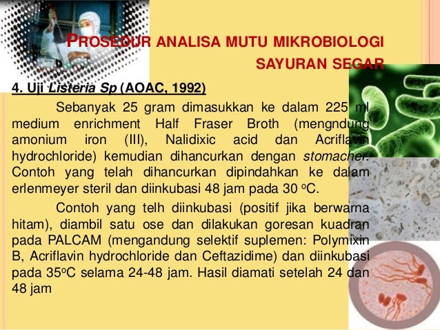 KONTAMINASI MIKROBA vPADA SAYURAN