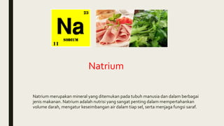 Mineral dalam tubuh | PPTX