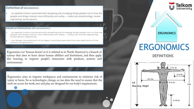 Ergonomics | PDF